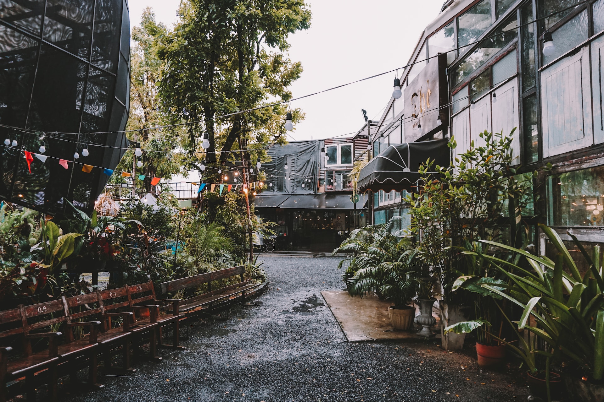 From Concrete to Oasis: Unveiling Retail-Style Balcony Gardens - Ad Evo